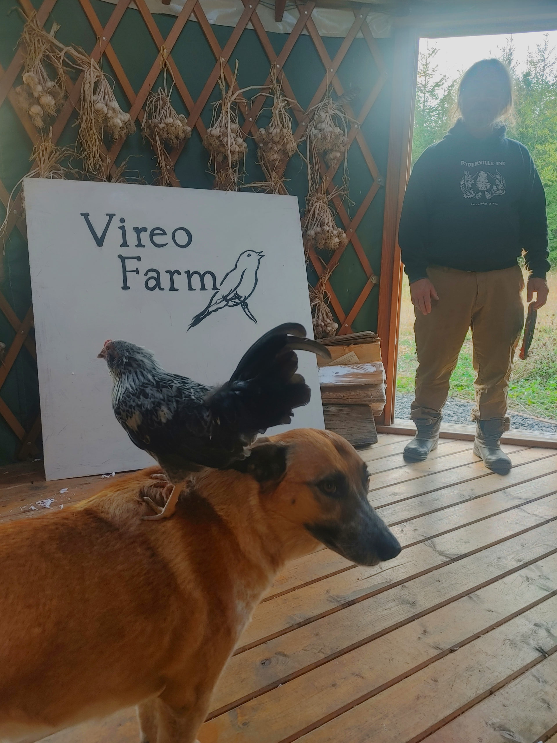 Updates and Opinions - Field grown in season, indoor grown year round.